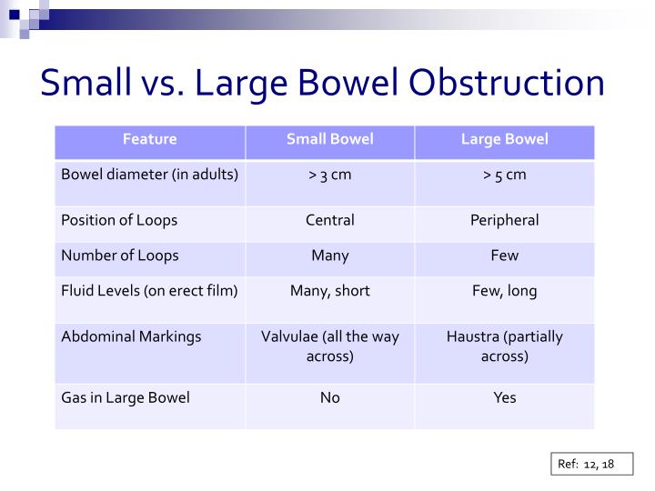 PPT - Reading Abdominal X-rays and Head CTs PowerPoint Presentation ...