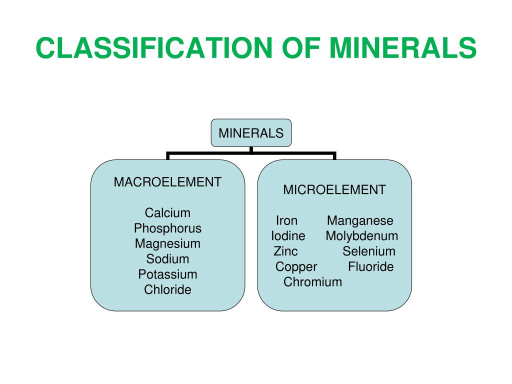 Ppt Introduction To Human Nutrition And Dietetics Ntd 103 3 Units