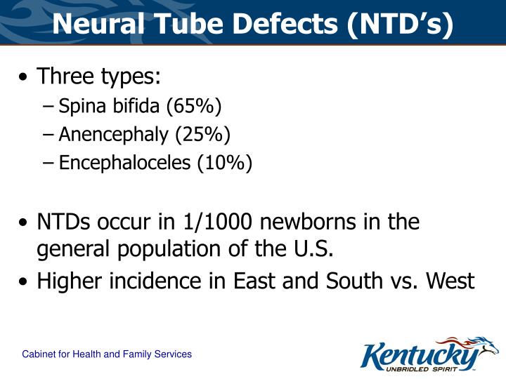 PPT - Neural Tube Defects Training Module Revised June 2006 PowerPoint ...
