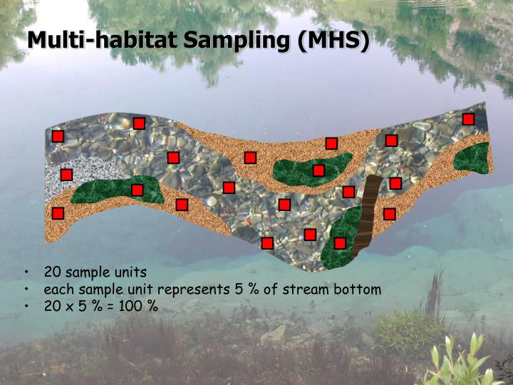PPT - Development of biological assessment systems for rivers and lakes ...