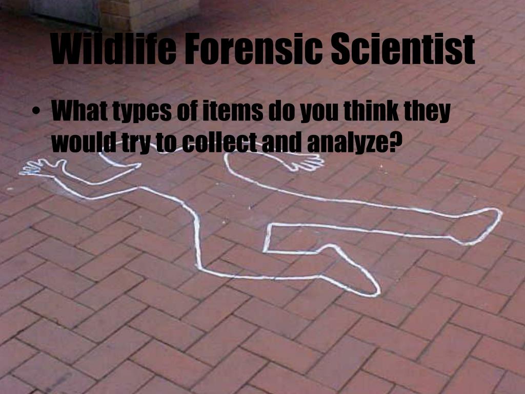 PPT - Forensic Scientists PowerPoint Presentation, free download - ID ... PPT - Forensic Scientists PowerPoint Presentation, free download - ID ...