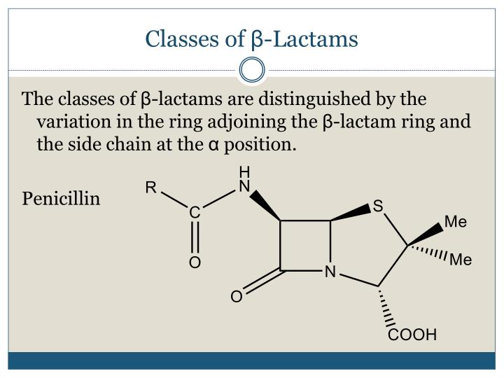 PPT - Beta-Lactam Antibiotics PowerPoint Presentation - ID:6719255