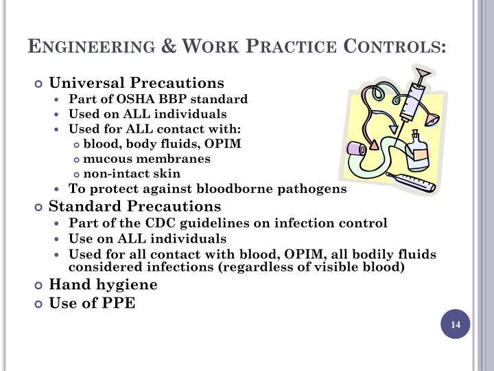 PPT - Bloodborne Pathogens Training PowerPoint Presentation - ID:6719432