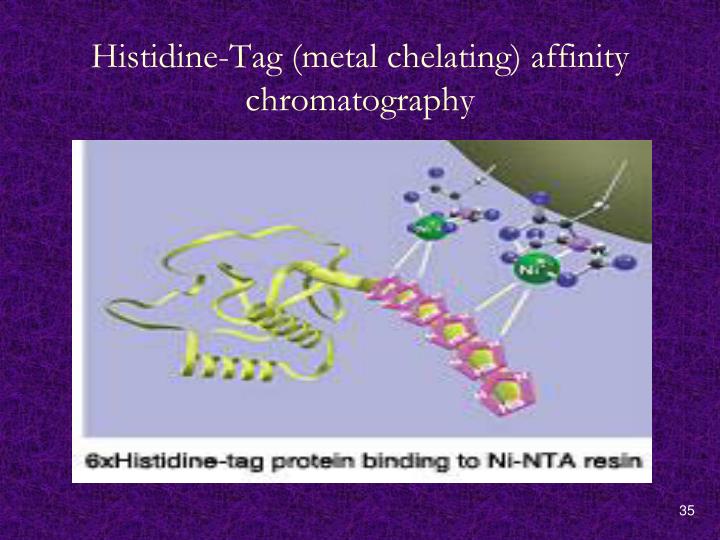 PPT - Protein (Bio)Technology; Industrial and Medical Perspectives ...