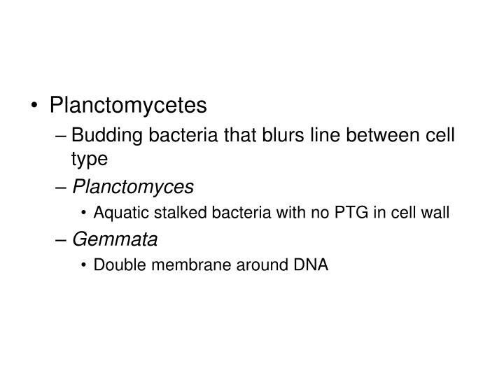 PPT - The Non-proteobacteria Gram-Negative Bacteria PowerPoint ...