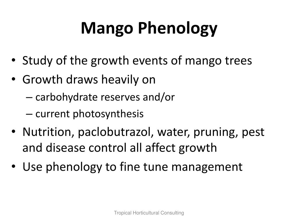 PPT - NT Mango Orchard Nutrition Workshops 2013 PowerPoint Presentation ...