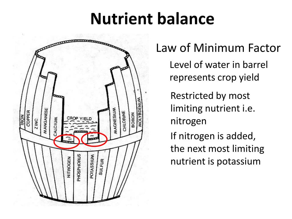 PPT - NT Mango Orchard Nutrition Workshops 2013 PowerPoint Presentation ...