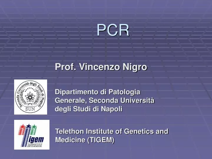 PPT - PCR PowerPoint Presentation, free download - ID:6719792