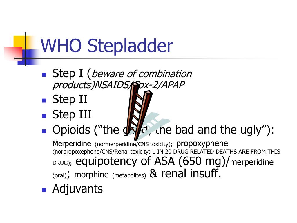 PPT - Contemporary Pain Assessment and Management in Today’s Adult and ...