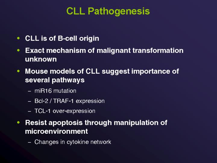 PPT - Chronic Lymphocytic Leukemia (CLL) PowerPoint Presentation - ID ...
