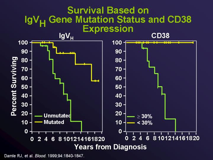 PPT - Chronic Lymphocytic Leukemia (CLL) PowerPoint Presentation - ID ...