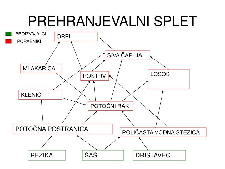PPT - SLOVENSKE REKE PowerPoint Presentation - ID:6720606