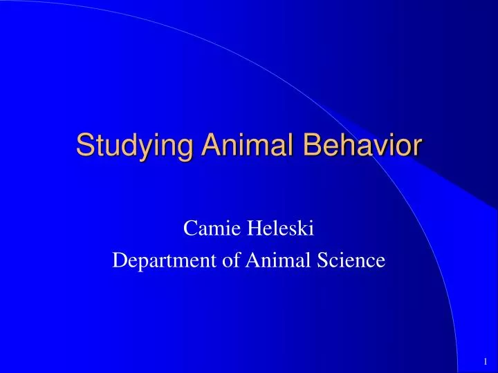 PPT - Studying Animal Behavior PowerPoint Presentation, free download ...