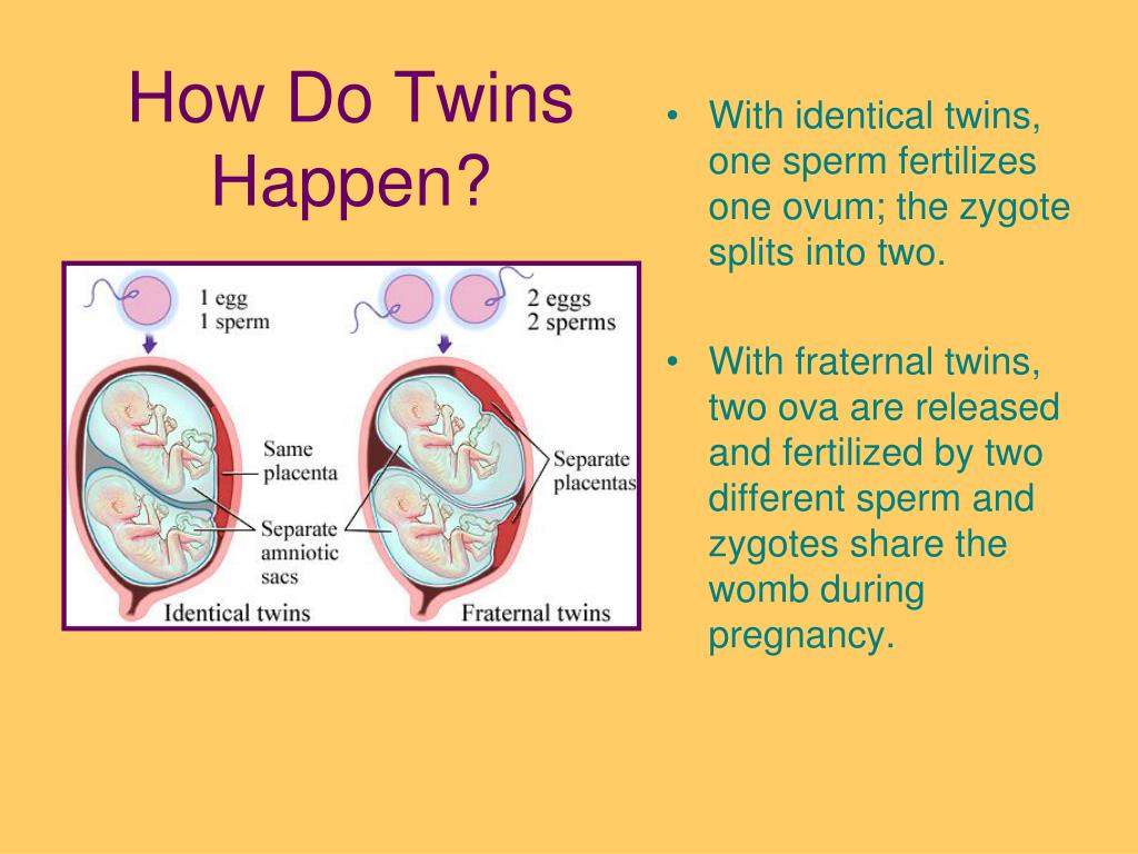 Ppt Conception Powerpoint Presentation Free Download Id 6723363
