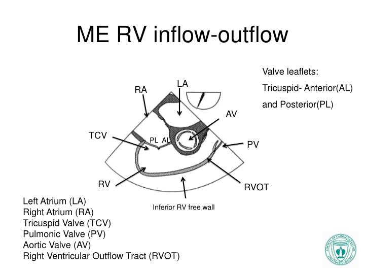 PPT - ‘The 20 Views’ Annual Comprehensive Review & Update of ...