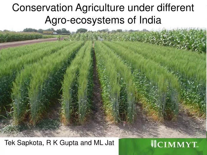 PPT - Conservation Agriculture under different Agro-ecosystems of India ...