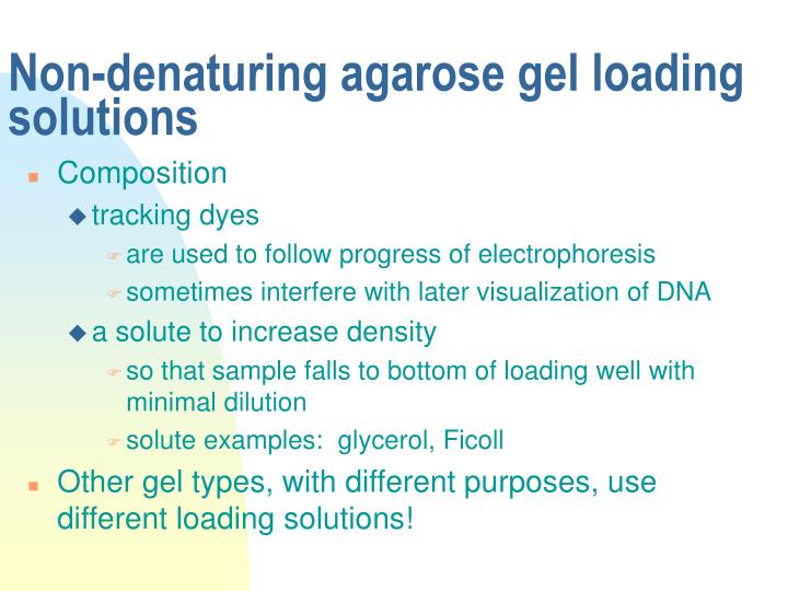 PPT - Agarose Gel Electrophoresis PowerPoint Presentation - ID:6727719