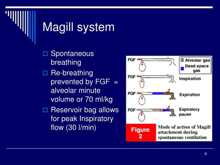 PPT - ANAESTHESIA BREATHING CIRCUITS PowerPoint Presentation - ID:6731239