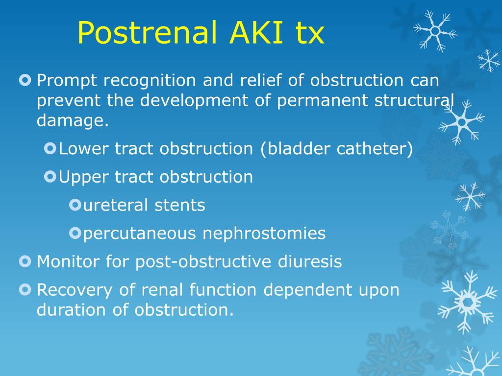 PPT - Comprehensive Approach to Acute Kidney Injury: Definitions ...