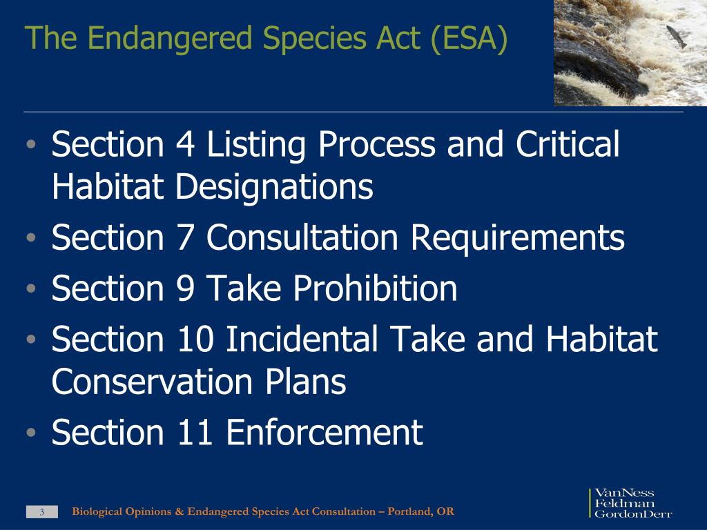 PPT - A Comprehensive Guide to the Endangered Species Act Consultation ...