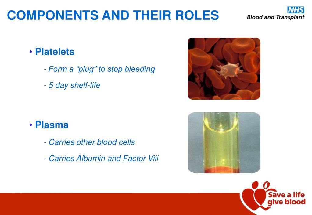 PPT - WHERE DO WE GET OUR BLOOD SUPPLIES FROM? PowerPoint Presentation ...
