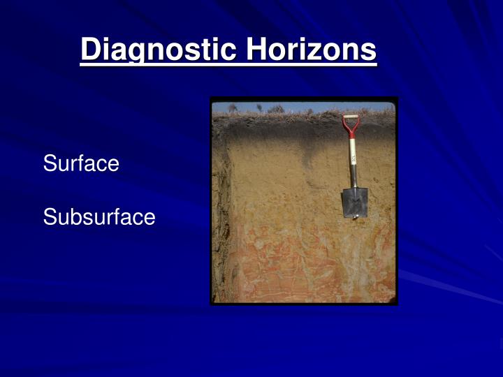 PPT - Soil Morphology and Classification PowerPoint Presentation - ID ...