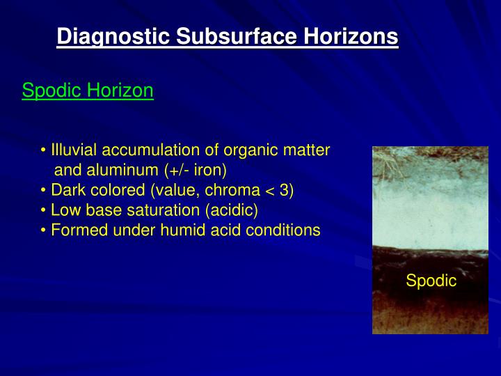 PPT - Soil Morphology and Classification PowerPoint Presentation - ID ...