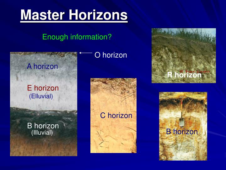 PPT - Soil Morphology and Classification PowerPoint Presentation - ID ...