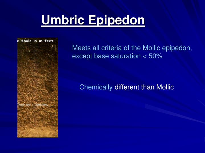PPT - Soil Morphology and Classification PowerPoint Presentation - ID ...