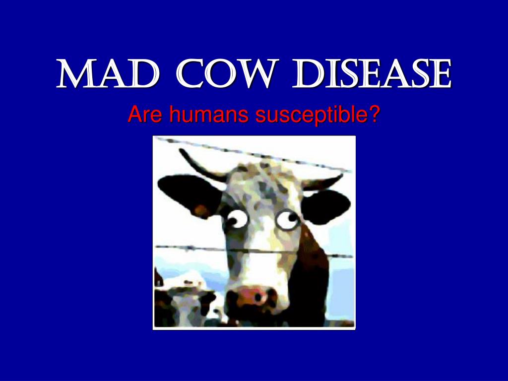 Ppt Mad Cow Disease Powerpoint Presentation Free Download Id 6734205