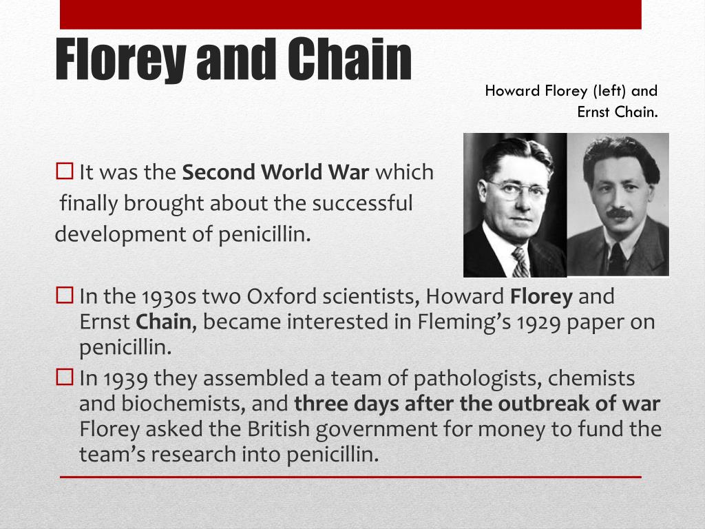PPT - The Pioneering Contributions of Florey and Chain to Penicillin ...