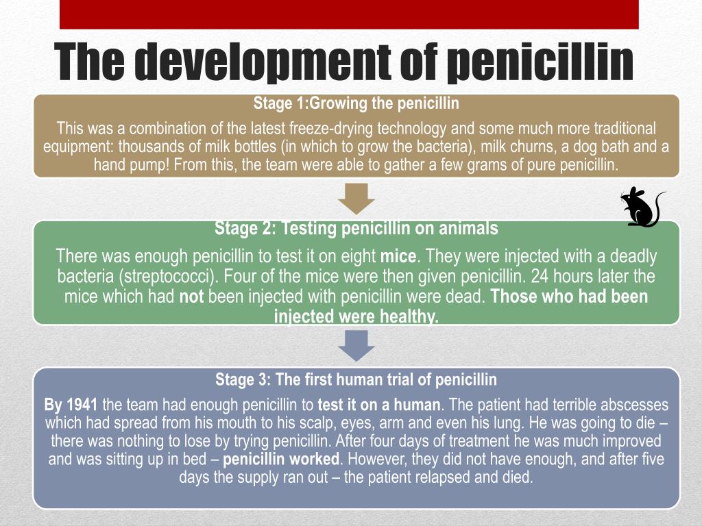 PPT - The Pioneering Contributions of Florey and Chain to Penicillin ...