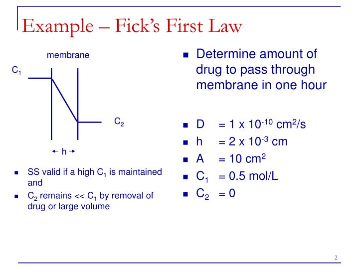PPT - Review of Mass Transfer PowerPoint Presentation - ID:6735450