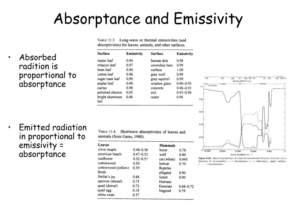 PPT - Exploring Biosphere-Atmosphere Interactions in Ecology PowerPoint ...