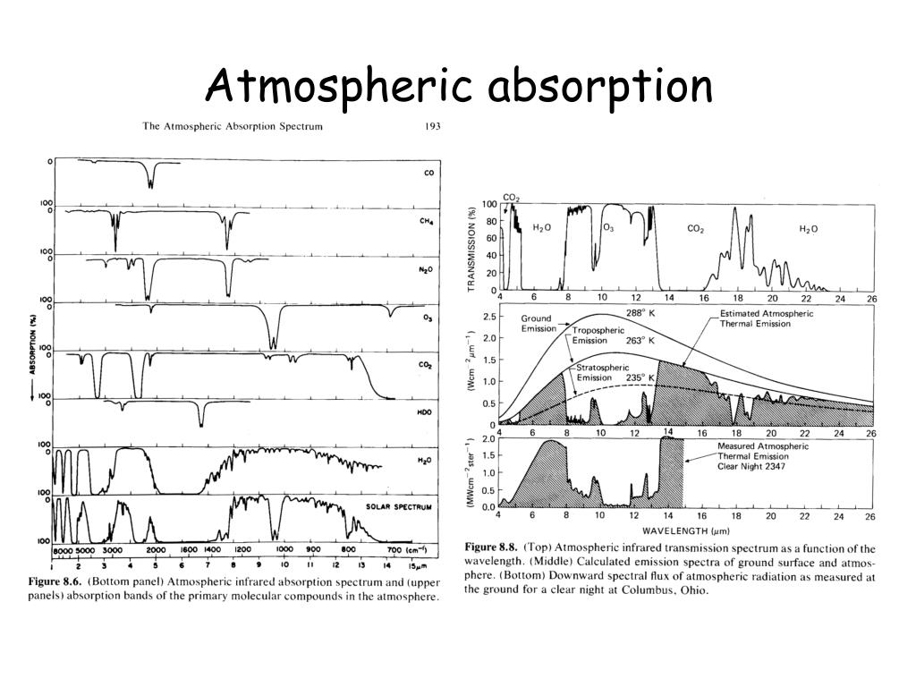 PPT - Exploring Biosphere-Atmosphere Interactions in Ecology PowerPoint ...