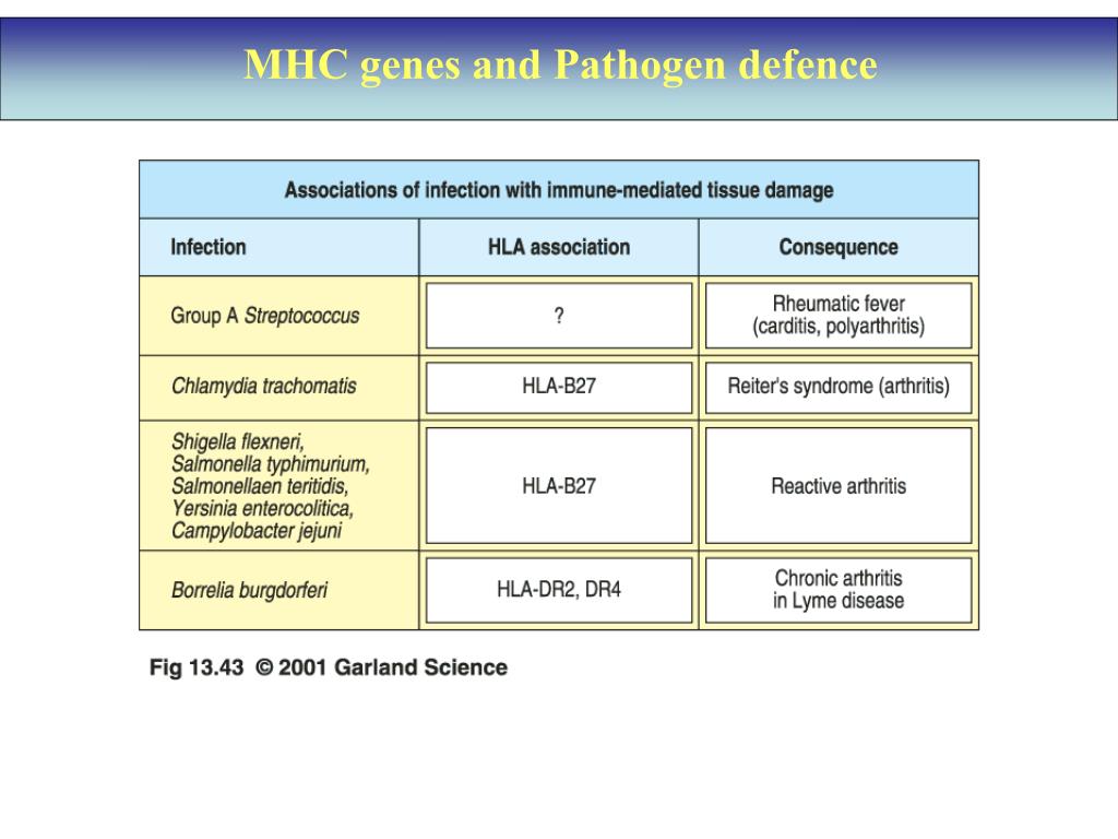 PPT - Autoimmune disease Viral disease Neurologic disorders Allergic ...