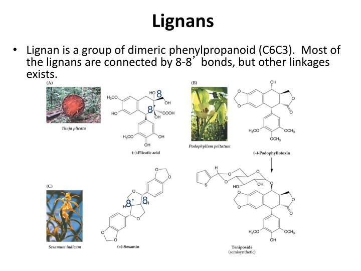 PPT - Biosynthesis PowerPoint Presentation - ID:6736954