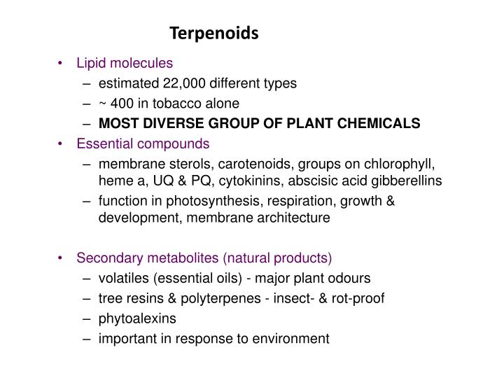 PPT - Biosynthesis PowerPoint Presentation - ID:6736954