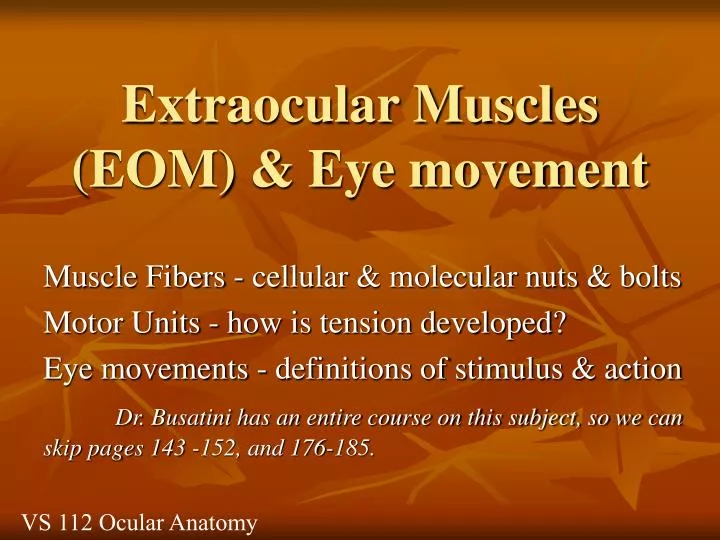 PPT - Extraocular Muscles (EOM) & Eye movement PowerPoint Presentation ...