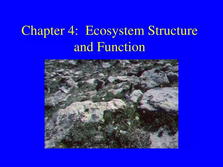 PPT - Chapter 4: Ecosystem Structure and Function PowerPoint ...