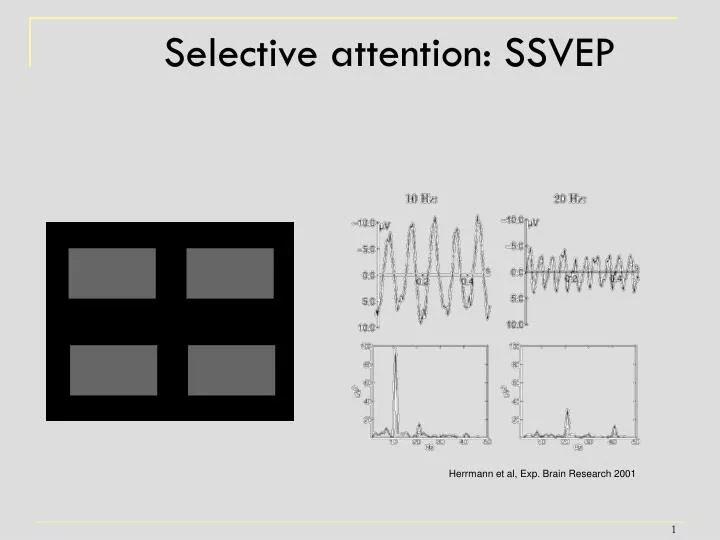 PPT - Selective attention: SSVEP PowerPoint Presentation, free download ...
