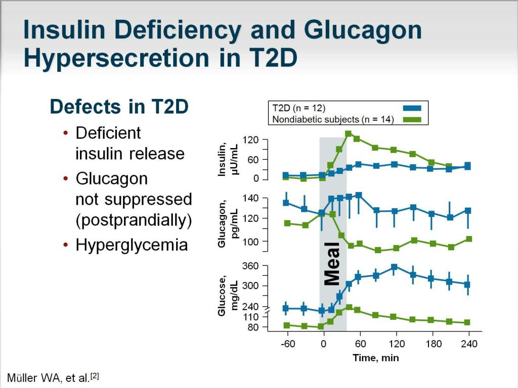 PPT - Differentiating Among Incretin Agents for Type 2 Diabetes ...