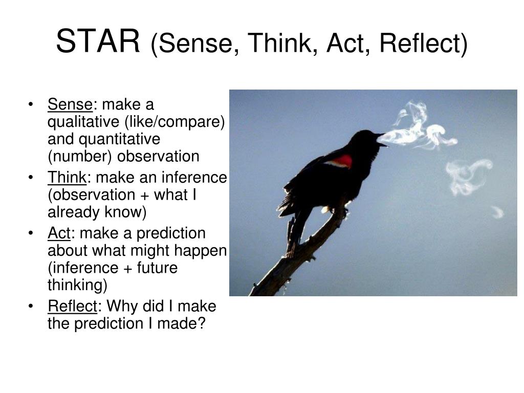 PPT - I am a Science STAR (Sense, Think, Act, Reflect) due Thursday, 9 ...