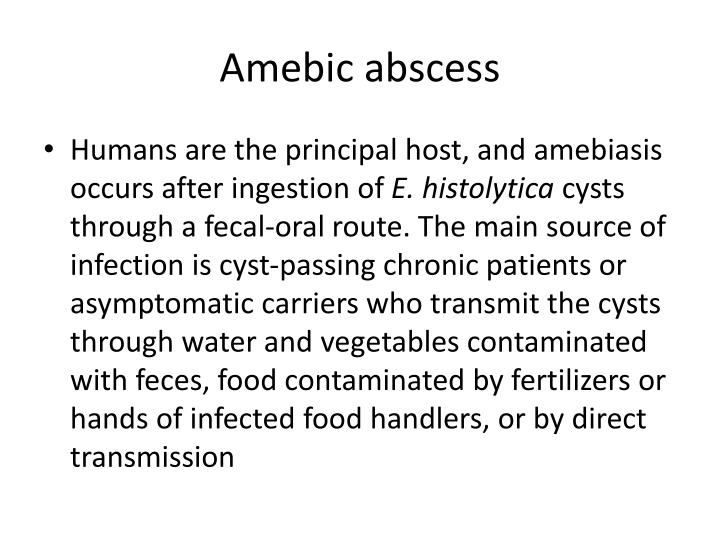 PPT - Benign liver masses PowerPoint Presentation - ID:6740418