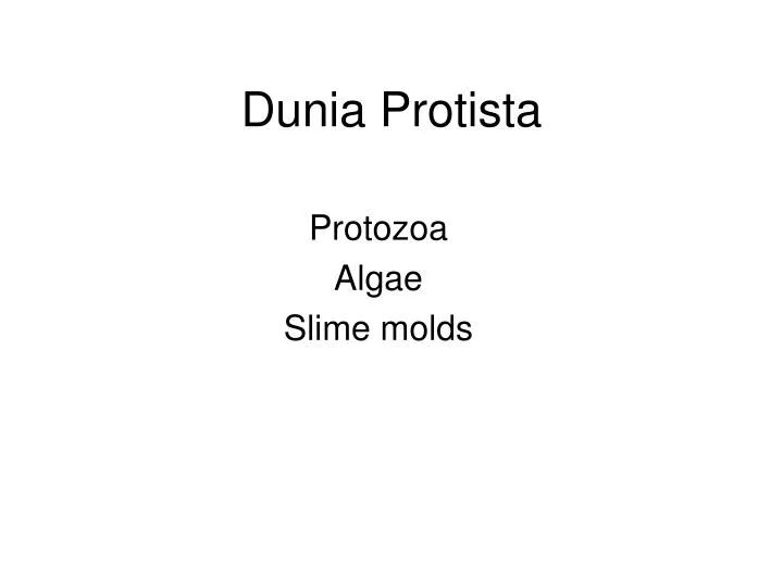 PPT - Dunia Protista PowerPoint Presentation, free download - ID:6741077