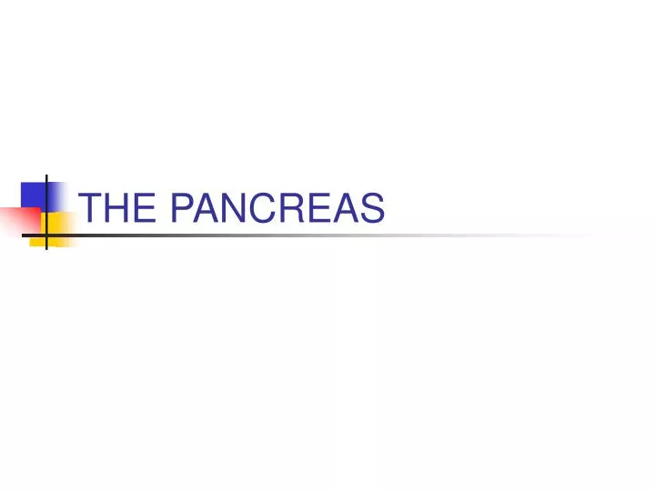 PPT - THE PANCREAS PowerPoint Presentation, free download - ID:6741510