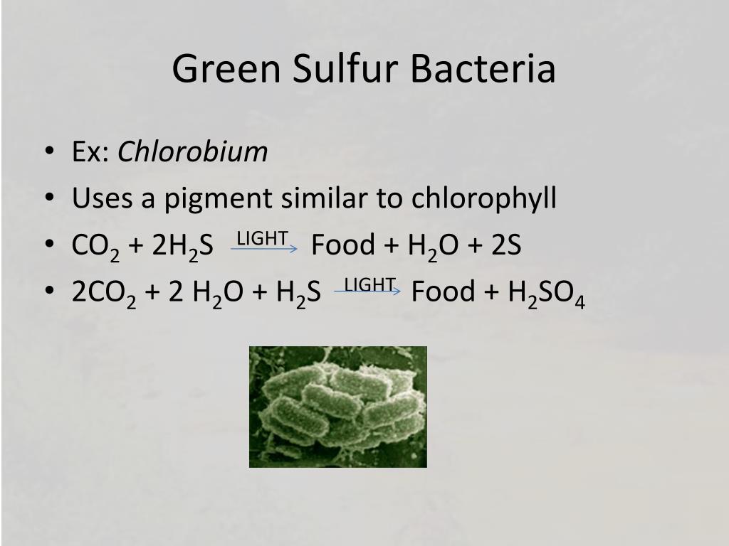 PPT - REDOX: IRON, SULFUR, & SILICA PowerPoint Presentation, free ...