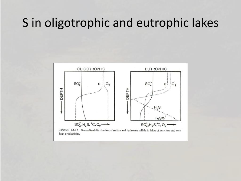 PPT - REDOX: IRON, SULFUR, & SILICA PowerPoint Presentation, free ...