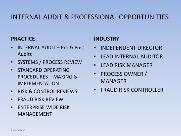 PPT - Risk Based Internal Audit Risk Consulting PowerPoint Presentation ...
