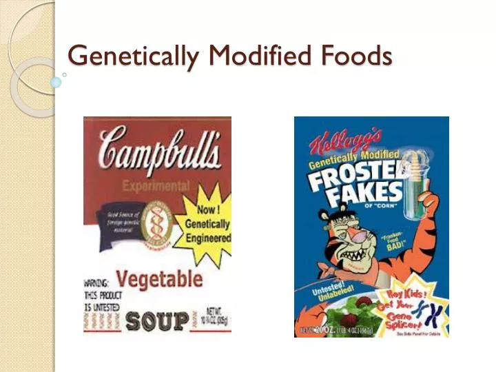 PPT - Genetically Modified Foods PowerPoint Presentation, free download ...